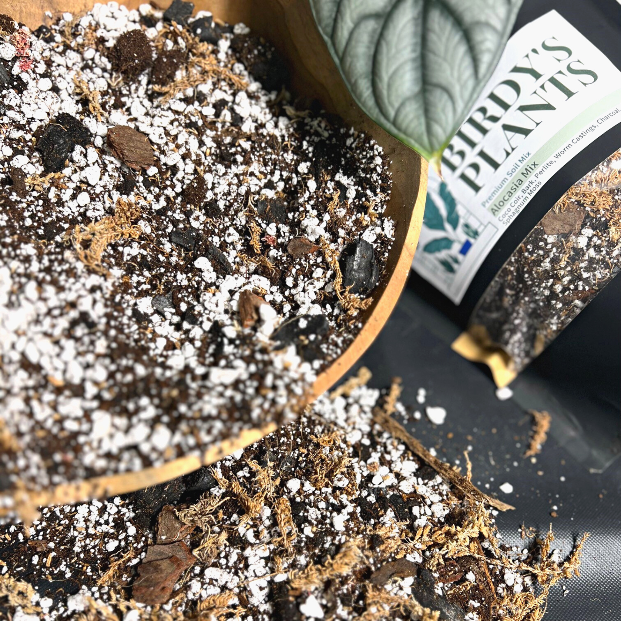 Soil Mixes – BIRDY'S PLANTS