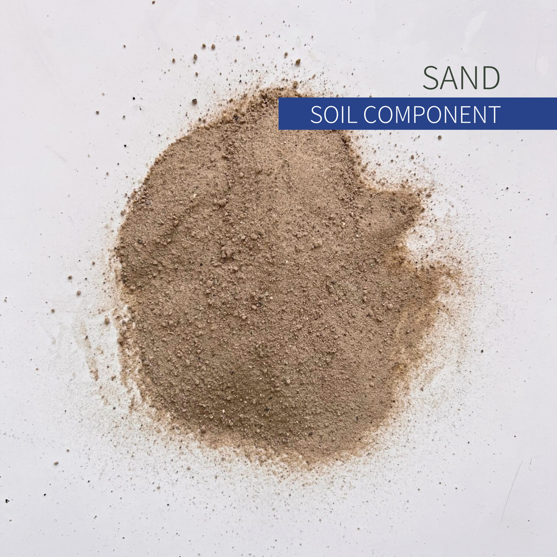 Sand – BIRDY'S PLANTS